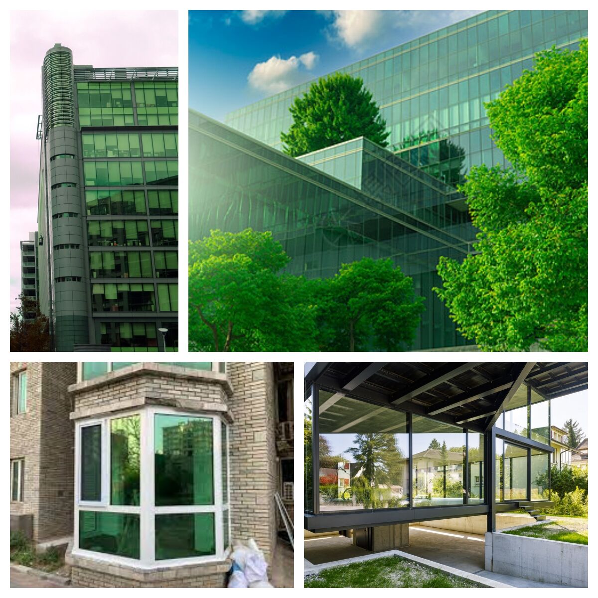 8mm French Green Tinted Float Glass - Professional Quality | SDG ...